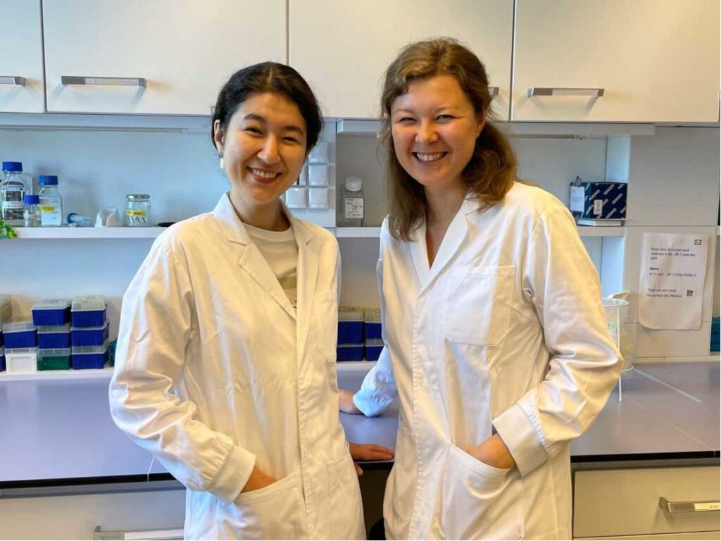 Jamilya Nugmanova | Shakhmardan Yessenov Foundation